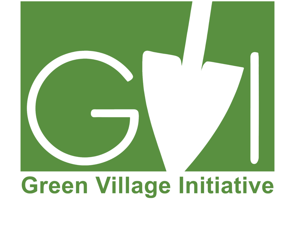 Gvi Logo
